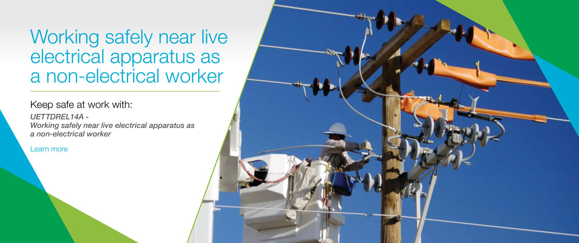 Work safely in the vicinity of live electrical apparatus as a non ...